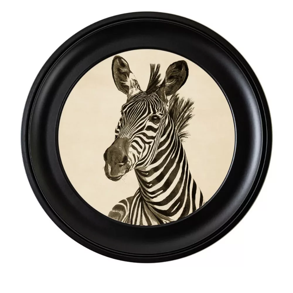 Zebra Framed Wall Art Round Frame • The British Emporium