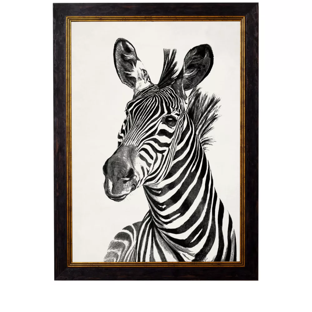 Zebra Framed Wall Art Left Facing • The British Emporium