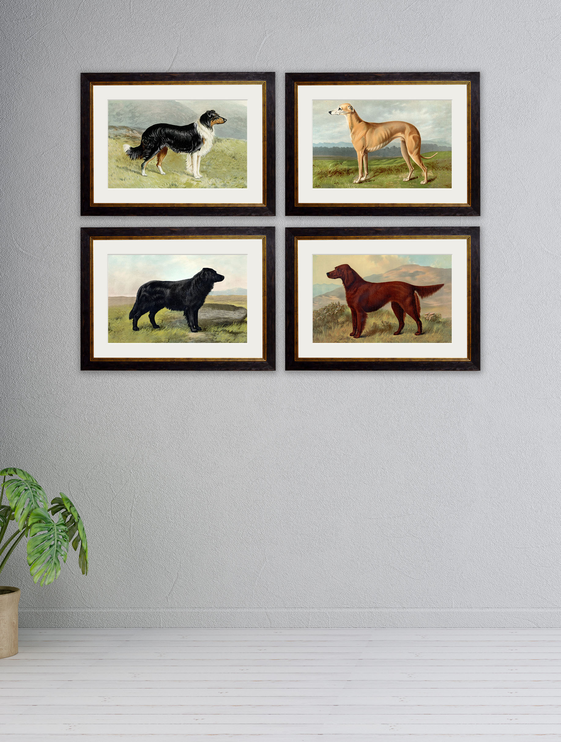 Working Dogs Black Labrador Framed Wall Art • The British Emporium