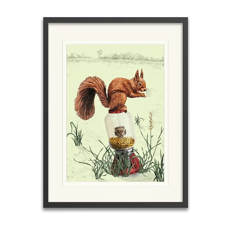 Red Squirrel Framed Art Print • The British Emporium