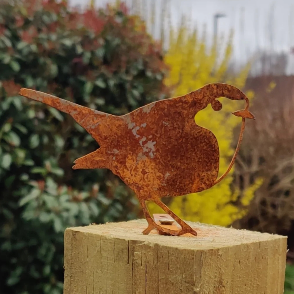 Robin Steel Fence Topper • The British Emporium